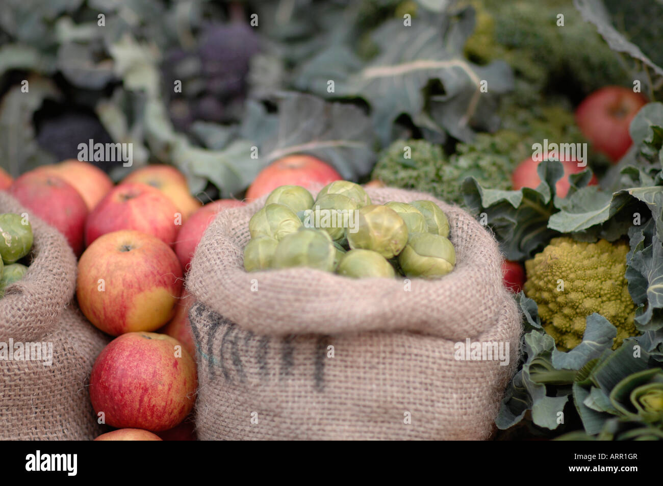 Hythe shop hi-res stock photography and images - Alamy