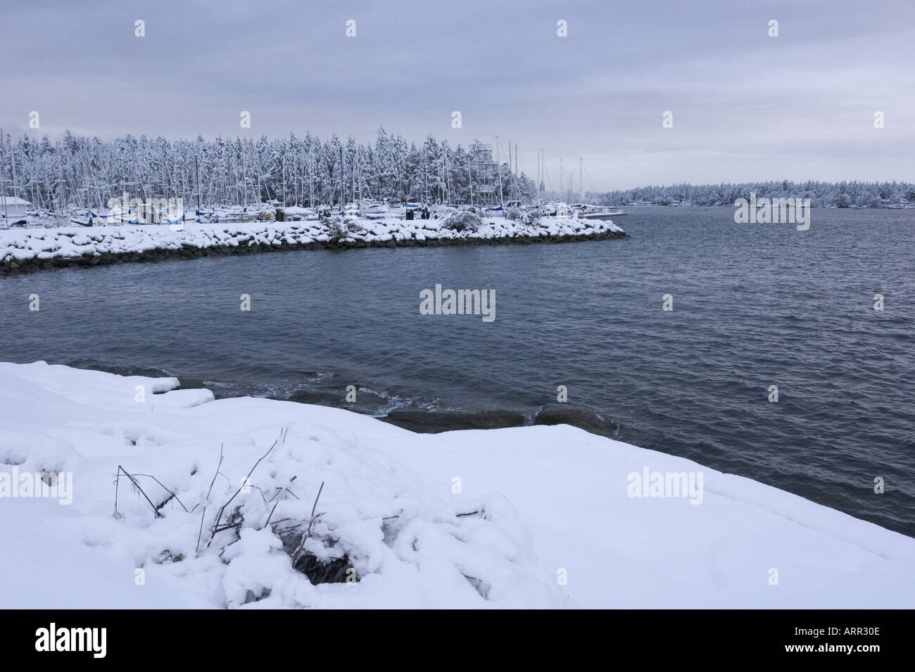 Snowstorm covers Seawall Harbourside walkway and breakwater in heavy ...