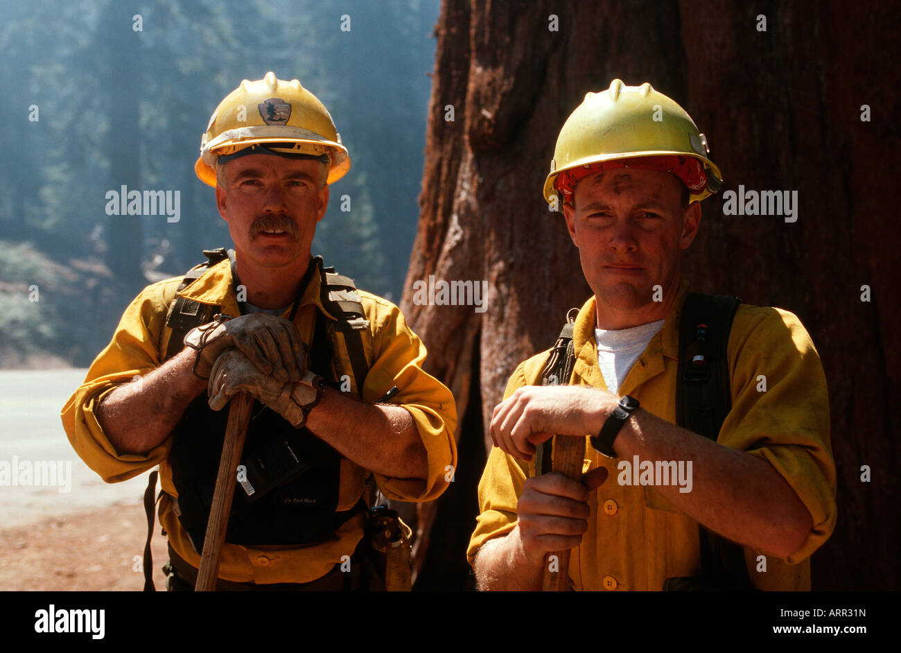 2 sequoia national forest, california hi-res stock photography and ...