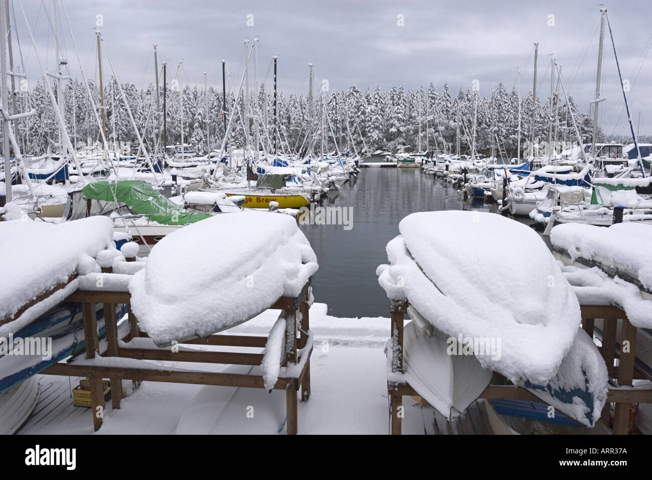 Snow covered boats at marina after winter storm Nanaimo Harbour ...
