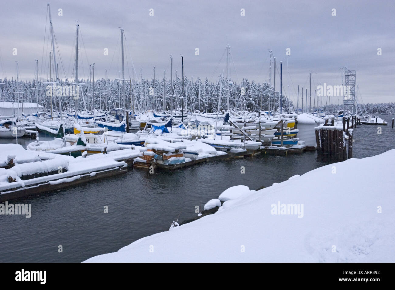 Seawall Harbourside walkway and marina after snowfall Nanaimo Harbour ...