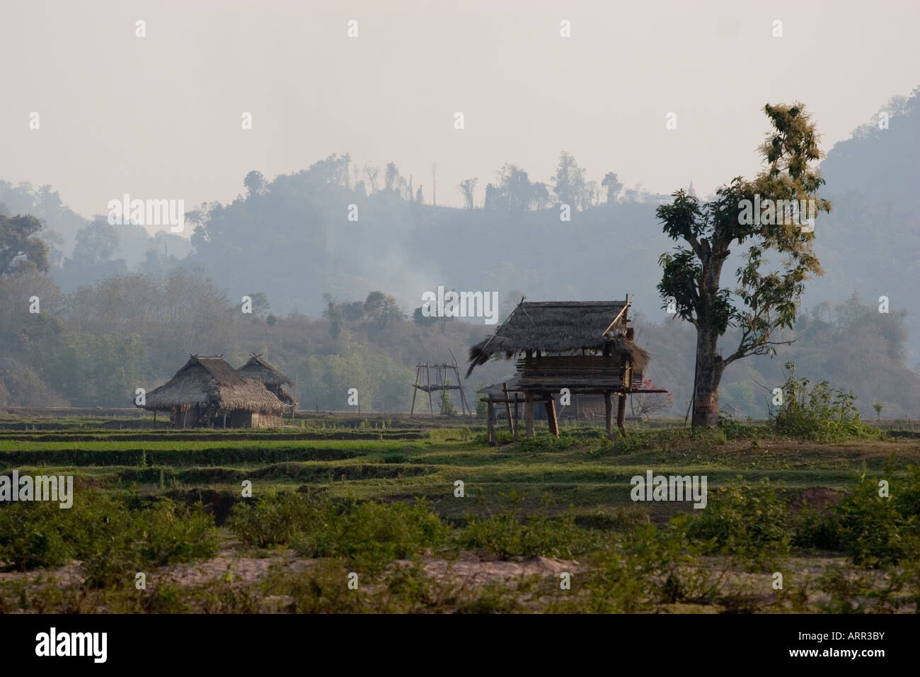 Phongsali province laos hi-res stock photography and images - Alamy