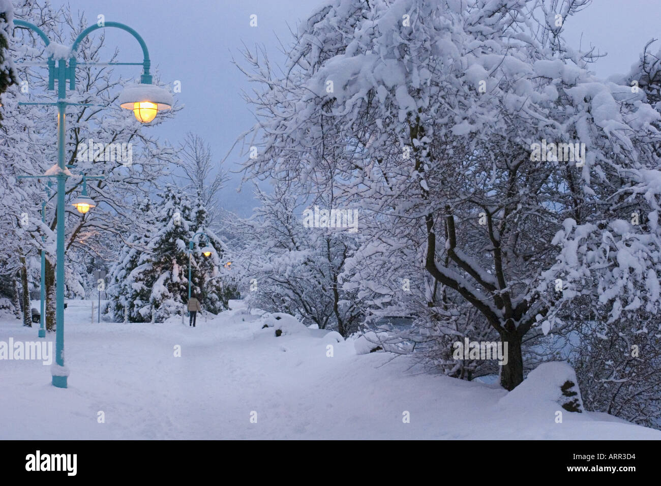 Snow storm covers Seawall Harbourside walkway in heavy snow Nanaimo ...