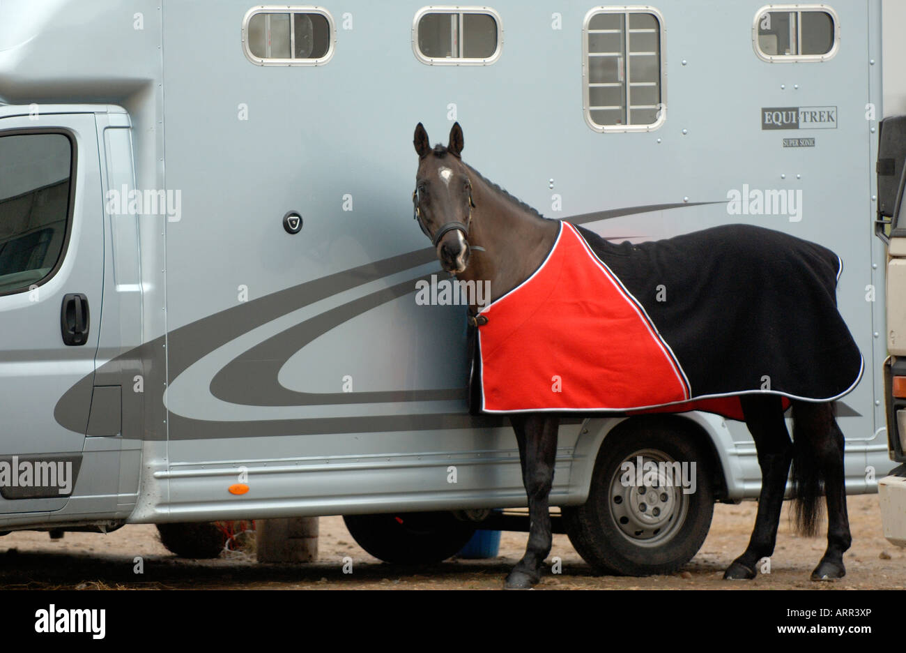 horses tack buckets stables horsboxes and trailers transport mucking ...