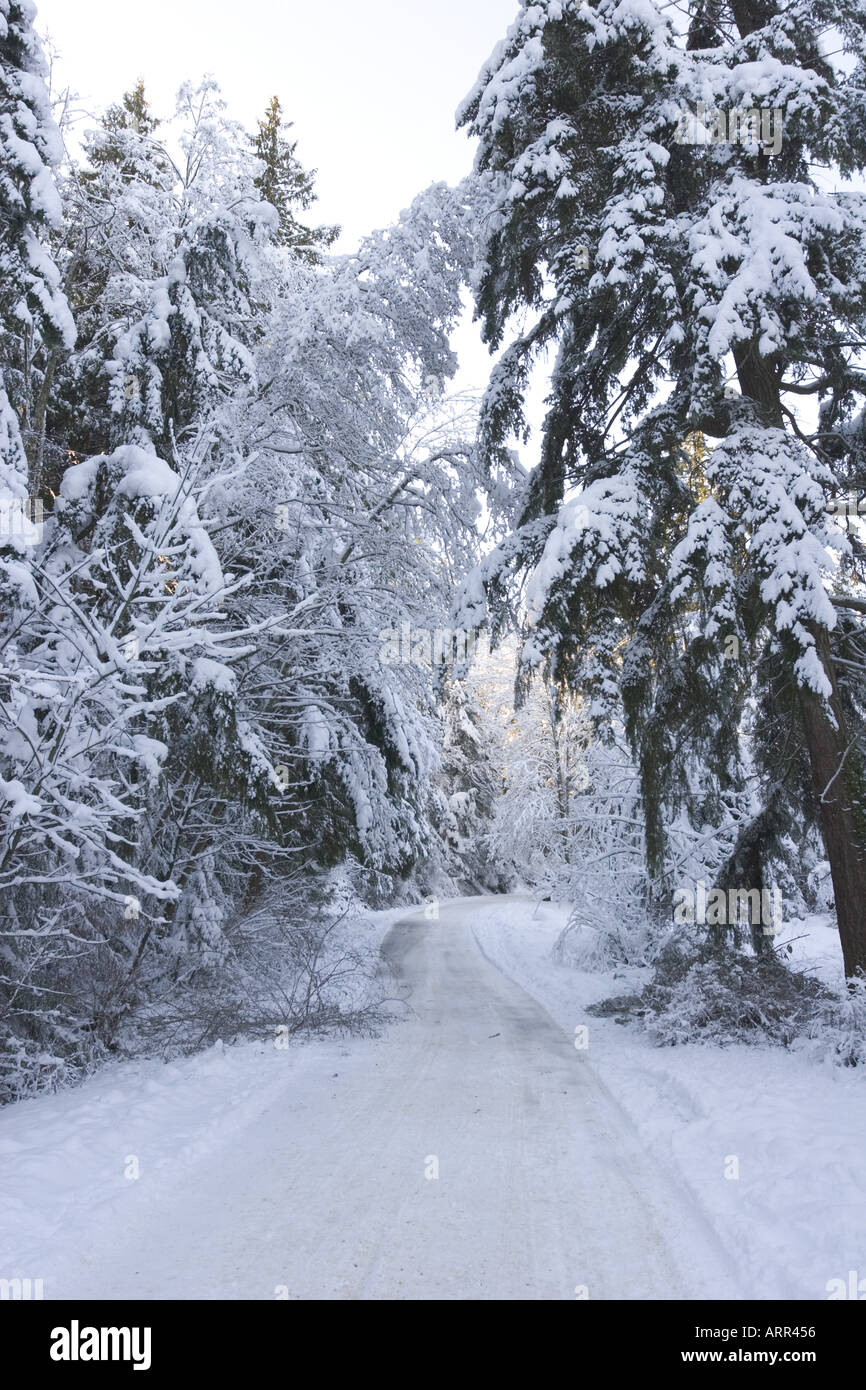 Lonely isolated island covered snow hi-res stock photography and images ...