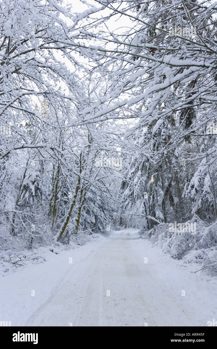 Snowy road in a winter wonderland Nanaimo Vancouver Island British ...