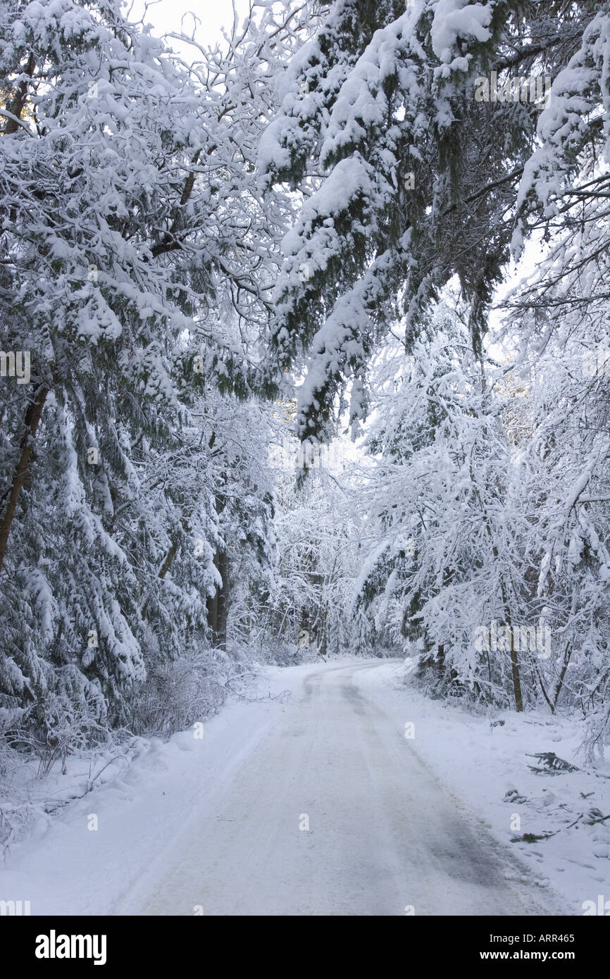 Snowy road in a winter wonderland Nanaimo Vancouver Island British ...