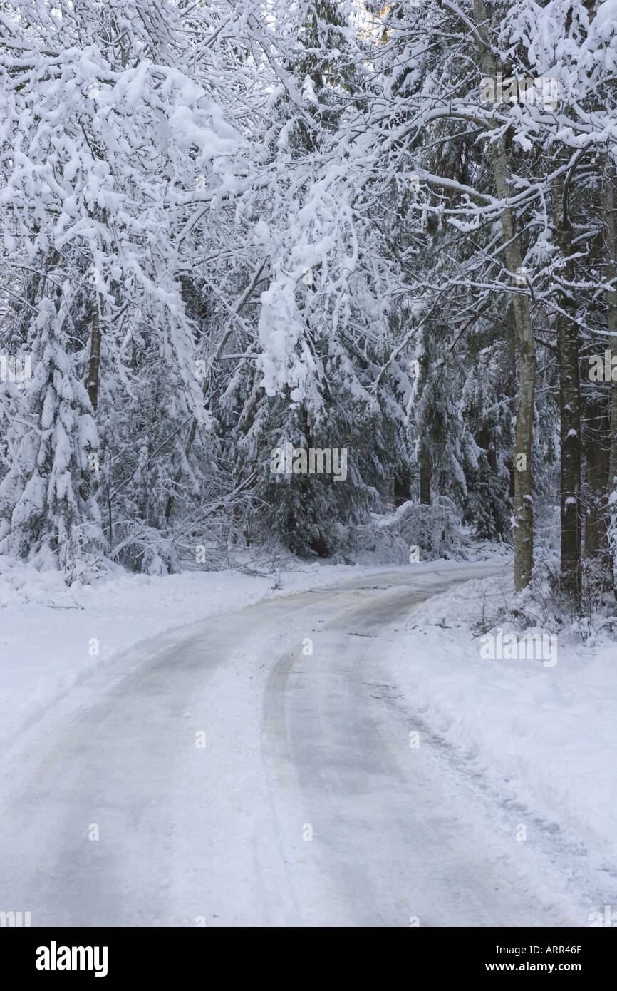 Snowy road in a winter wonderland Nanaimo Vancouver Island British ...