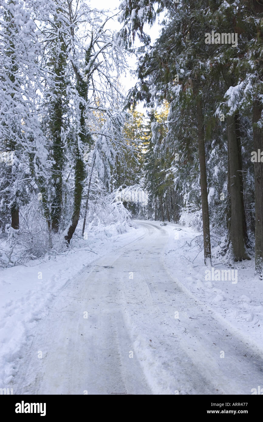 Snowy road in a winter wonderland Nanaimo Vancouver Island British ...