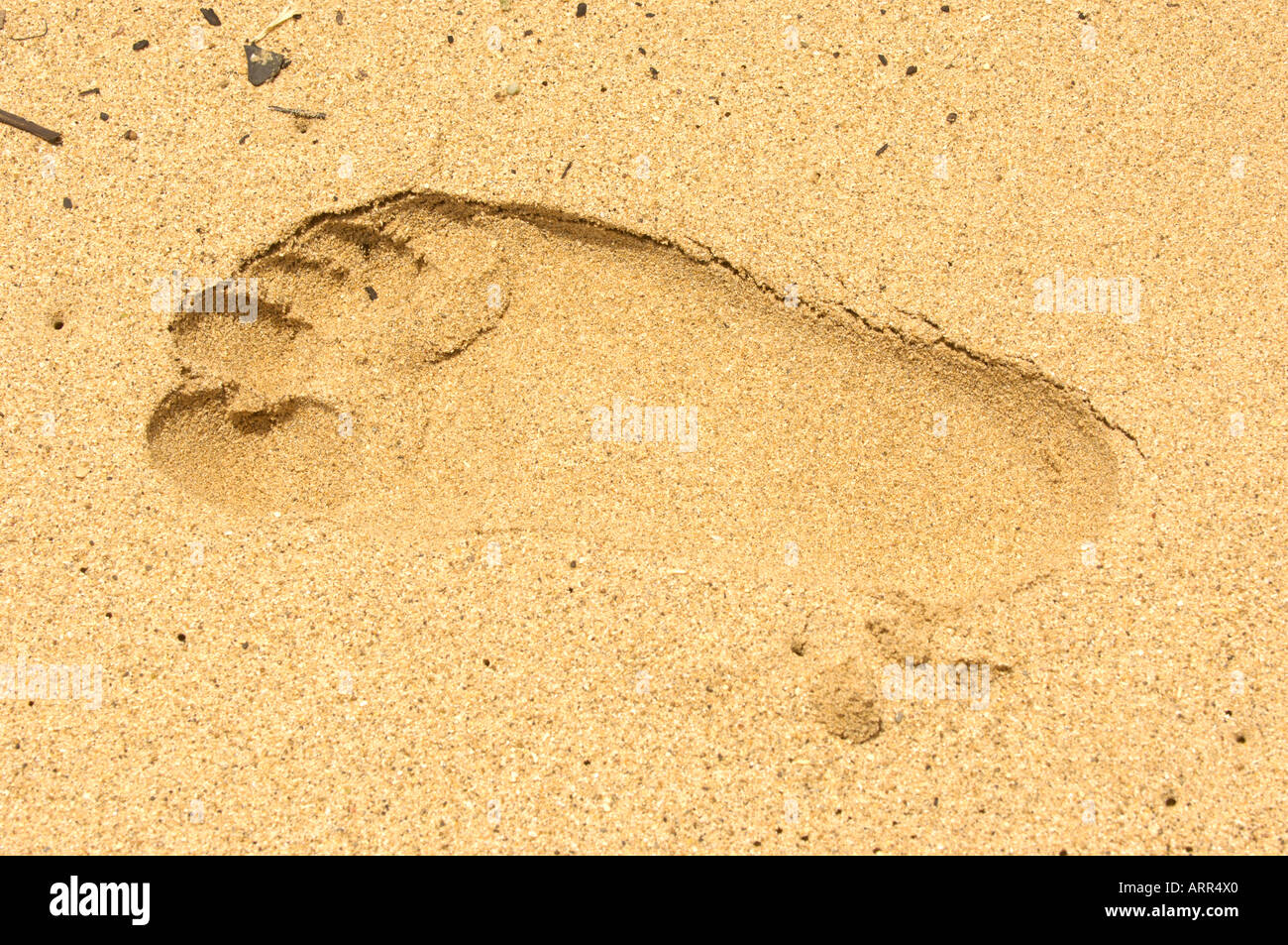 Footprint in sand Stock Photo - Alamy