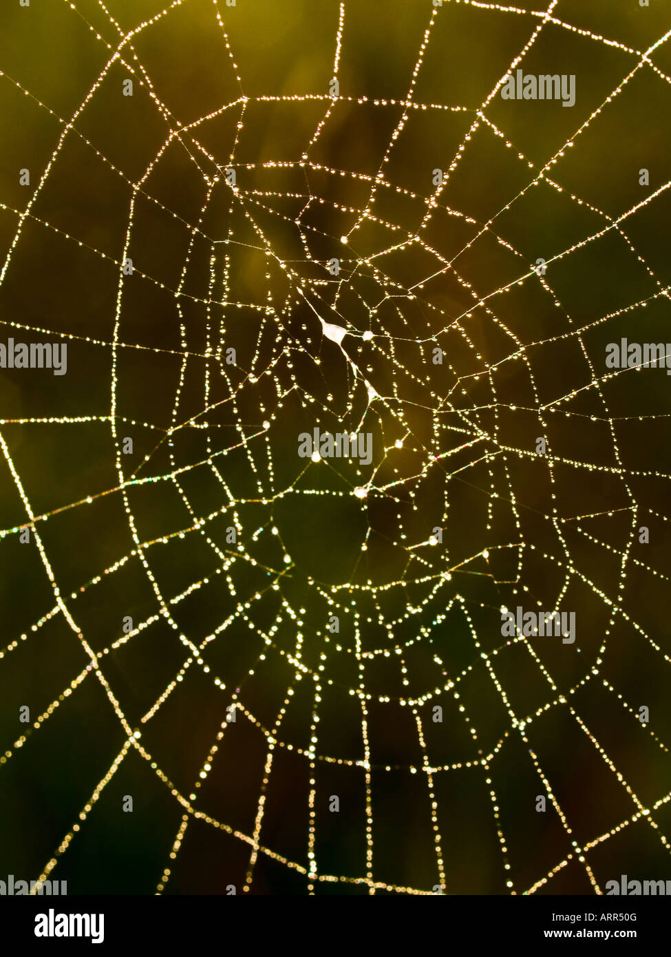 Spider map hi-res stock photography and images - Alamy