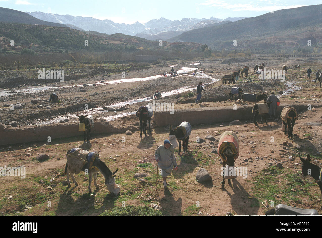 Donkeys in high atlas hi-res stock photography and images - Alamy