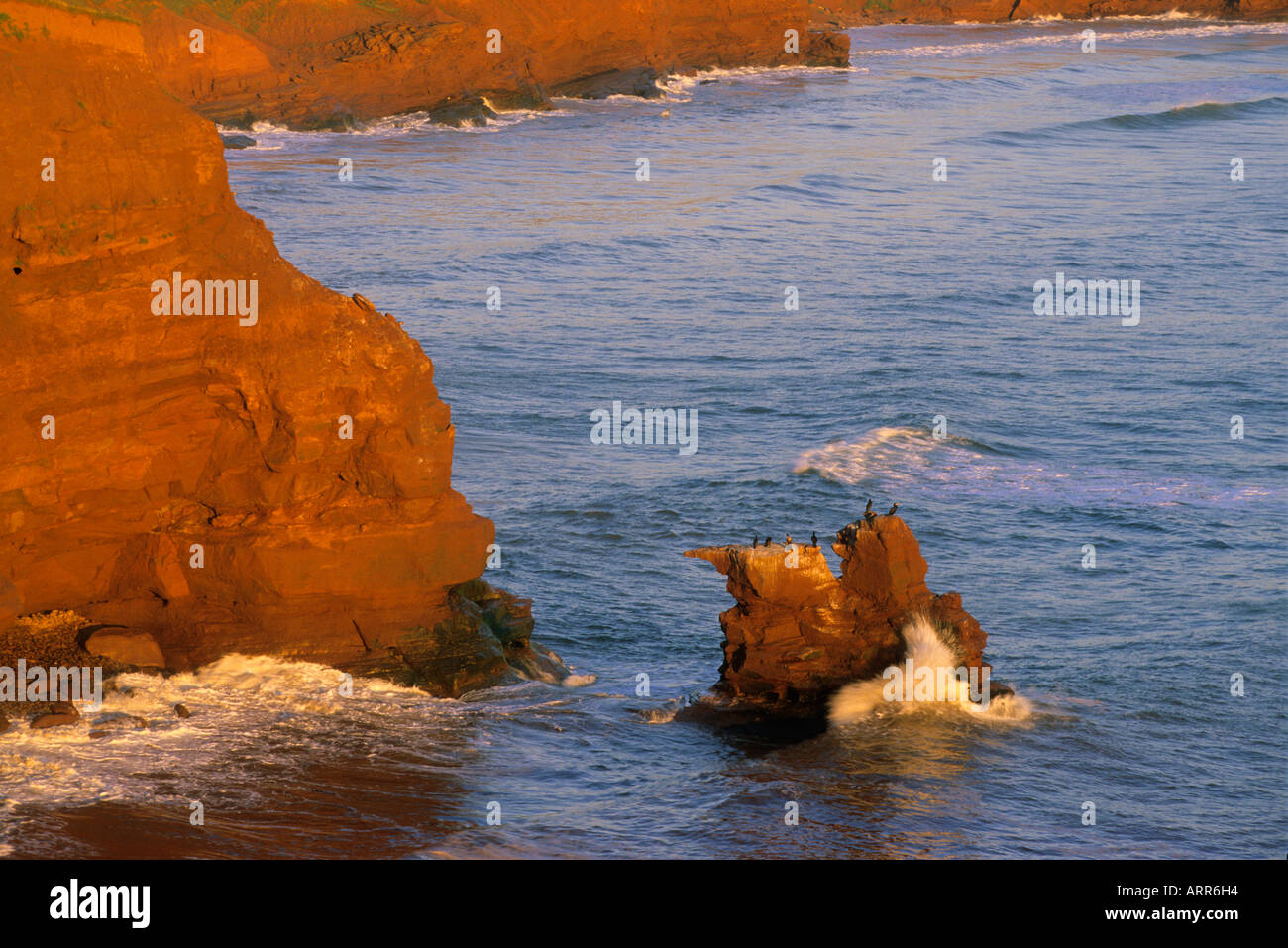 Red sandstone cliffs, Cape Tryon, Prince Edward Island Canada Stock ...