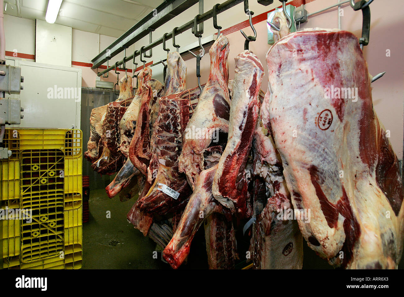 Abattoir carcasses dead meat pig agriculture livestock bacon chiller ...