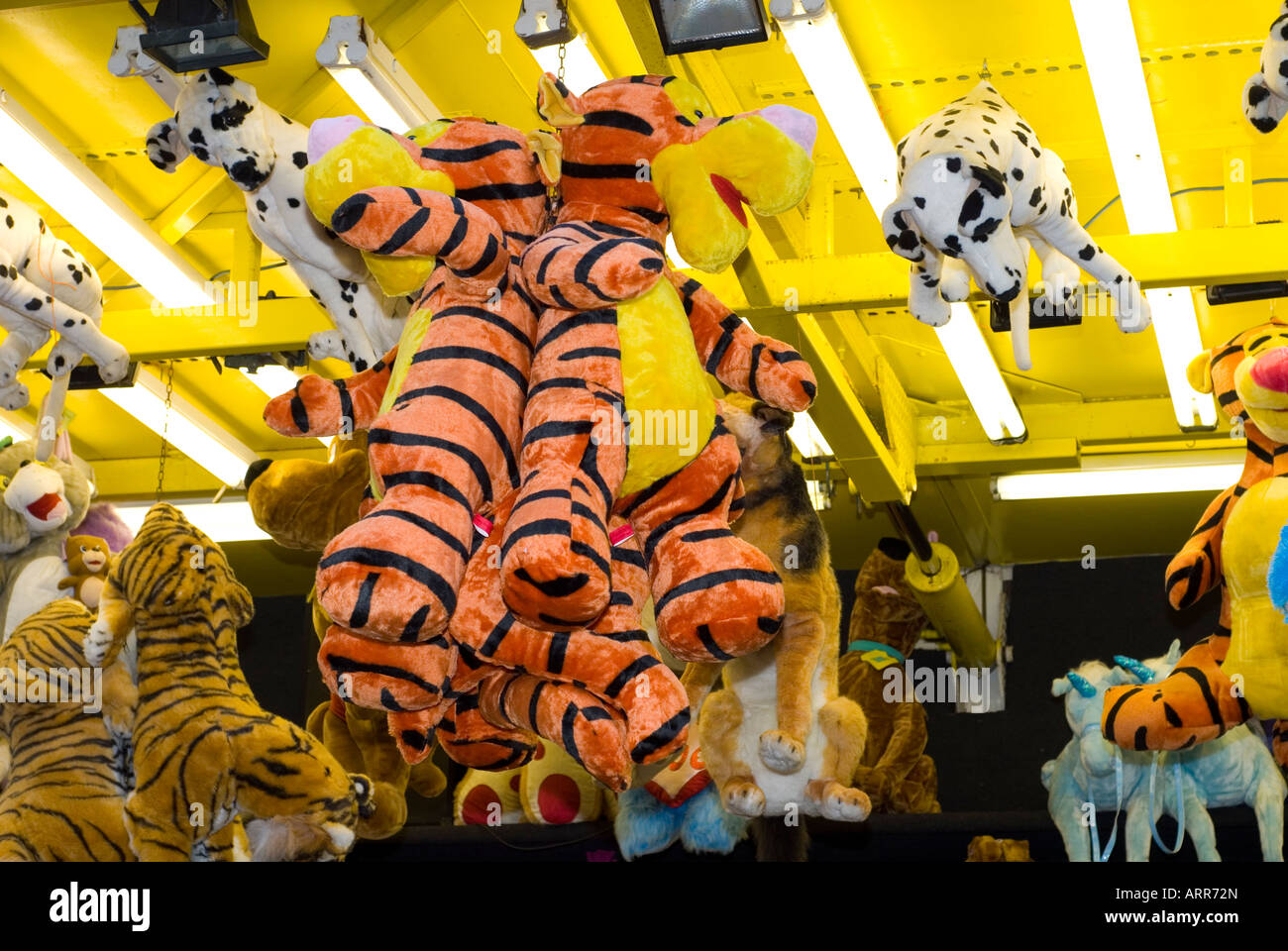 Stuffed tigers hi-res stock photography and images - Alamy