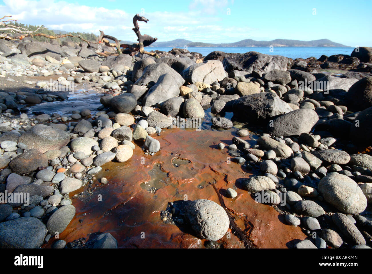 Low tide trail hi-res stock photography and images - Alamy