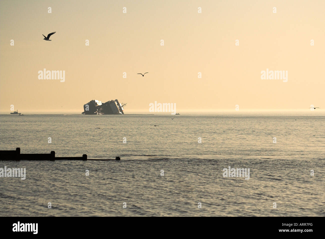 Riverdance Ferry Stock Photos & Riverdance Ferry Stock Images - Alamy