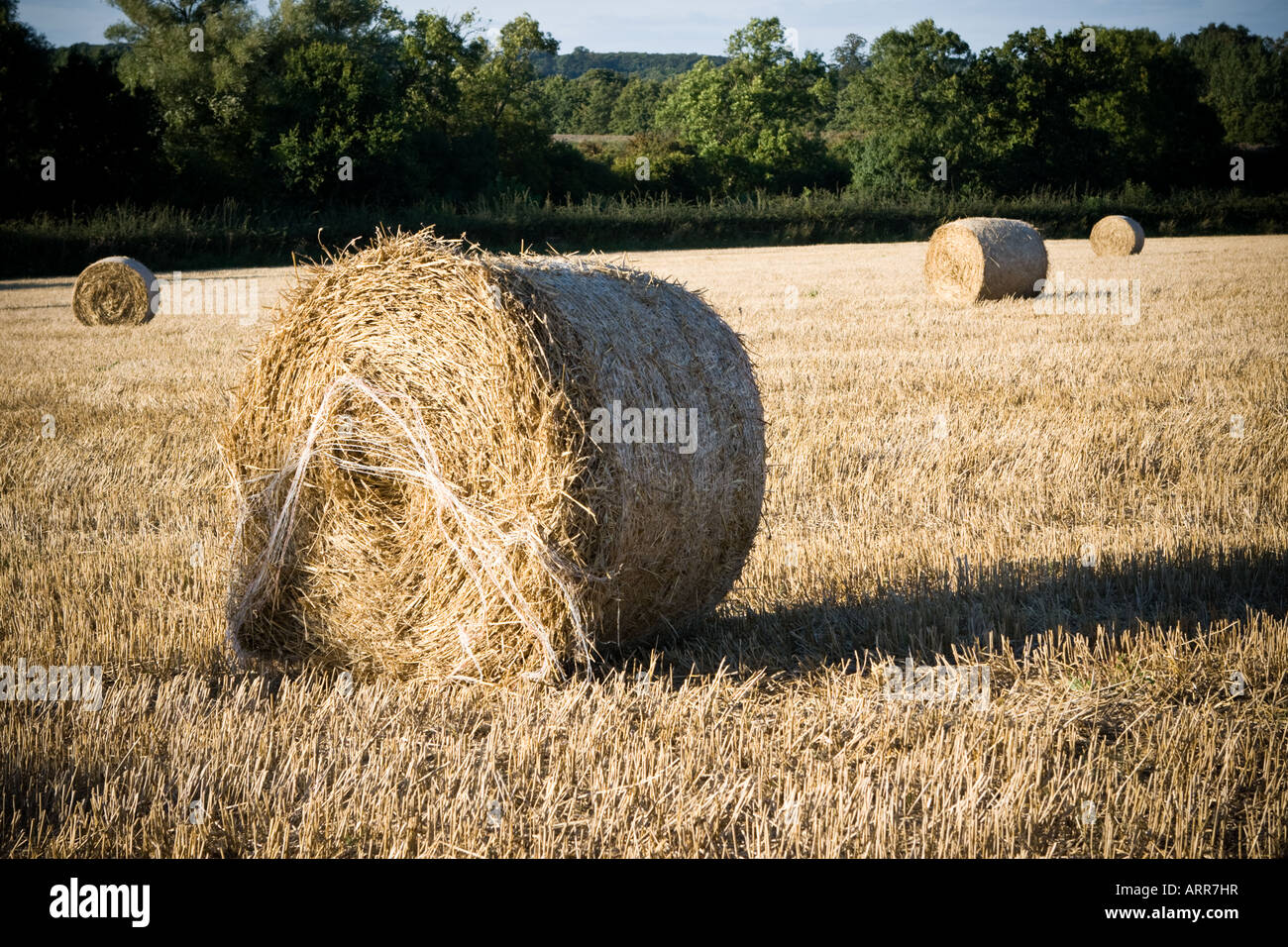 Standing in a cylindrical hi-res stock photography and images - Alamy