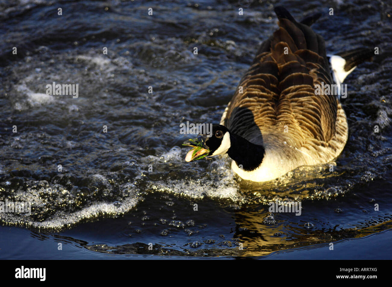 In The Mouth Of The River Mersey High Resolution Stock Photography and ...