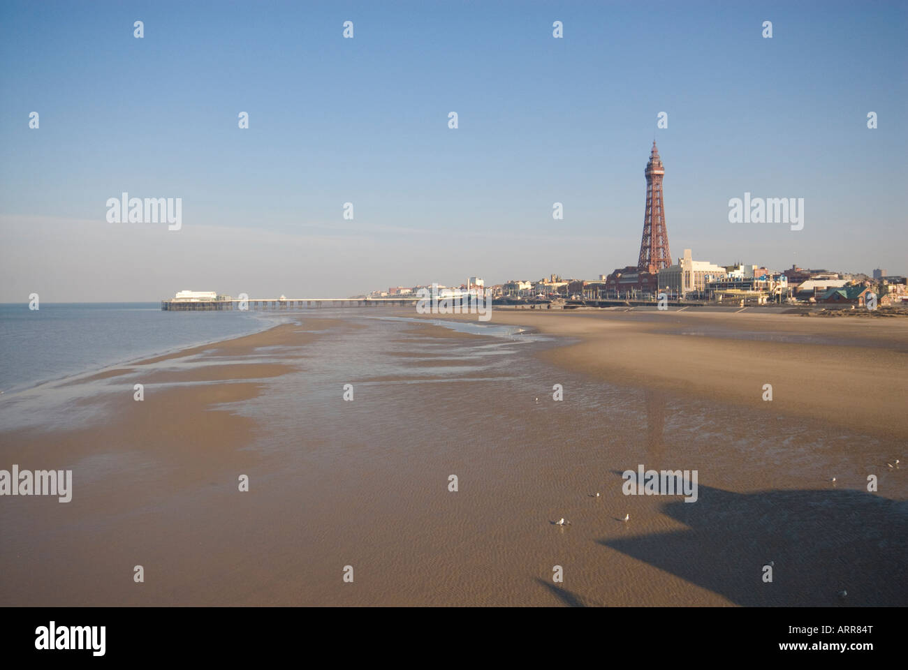 Blackpool Tower And Beach Stock Photo Alamy