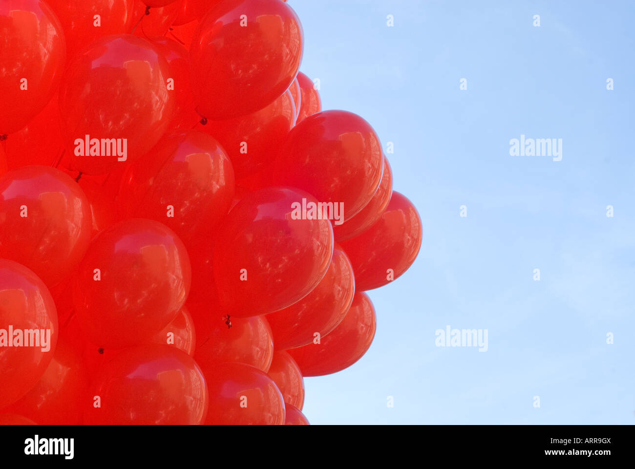 Bunch of helium filled red balloons against a blue sky Stock Photo - Alamy
