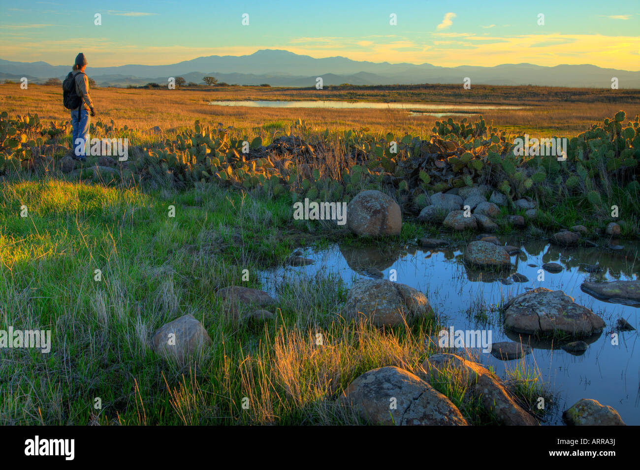 Early morining hiker at sunrise at the vernal pools Santa Rosa Plateau ...