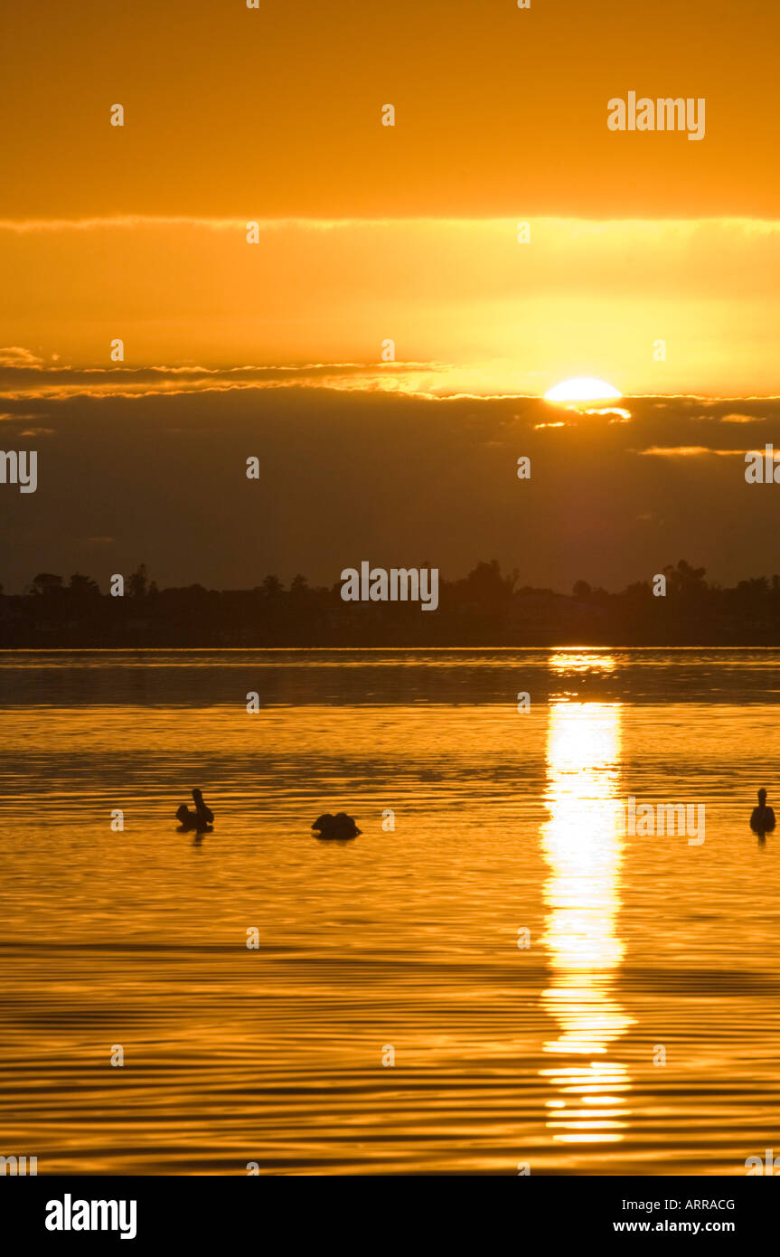 Saint Lucie River water IRL Indian River Lagoon sunrise morning coastal ...