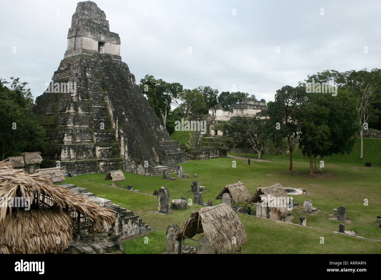 View of Maya Pyramid in Tikal Stock Photo - Alamy