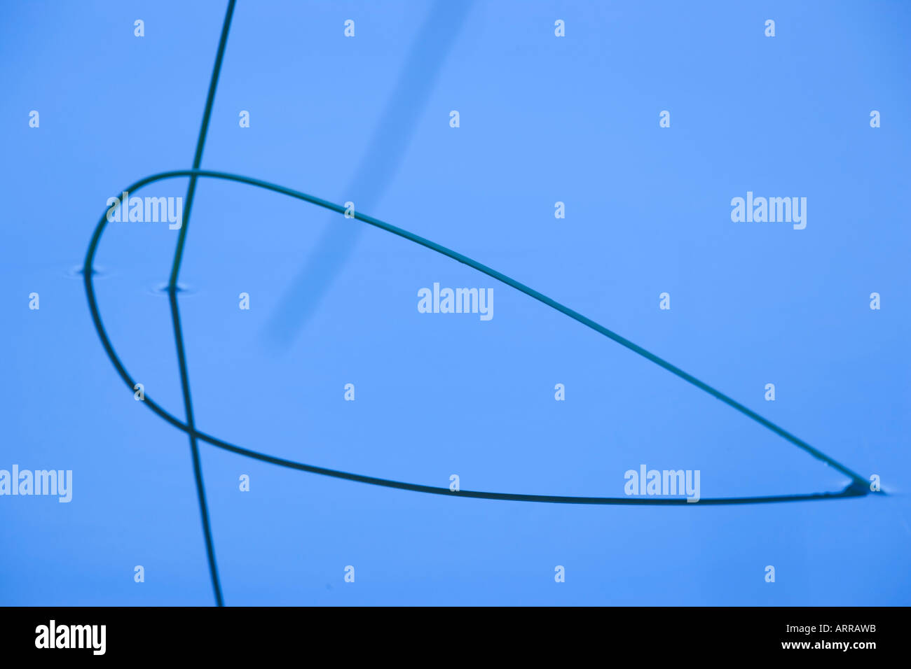 Reeds in Morning Mist, Wadsworth Lake near Barry's Bay, Madawaska ...