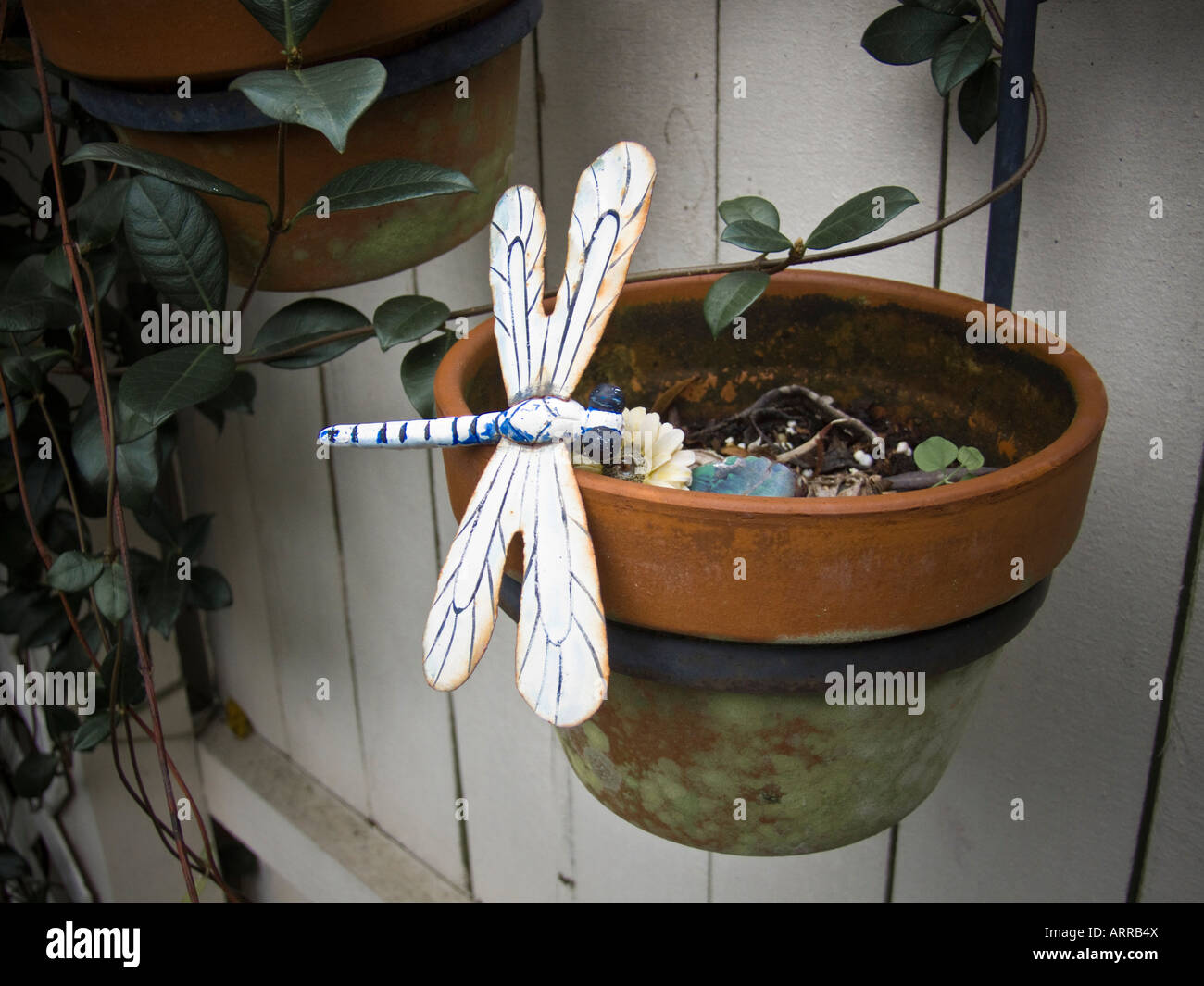 garden flower pot dragonfly art Stock Photo - Alamy