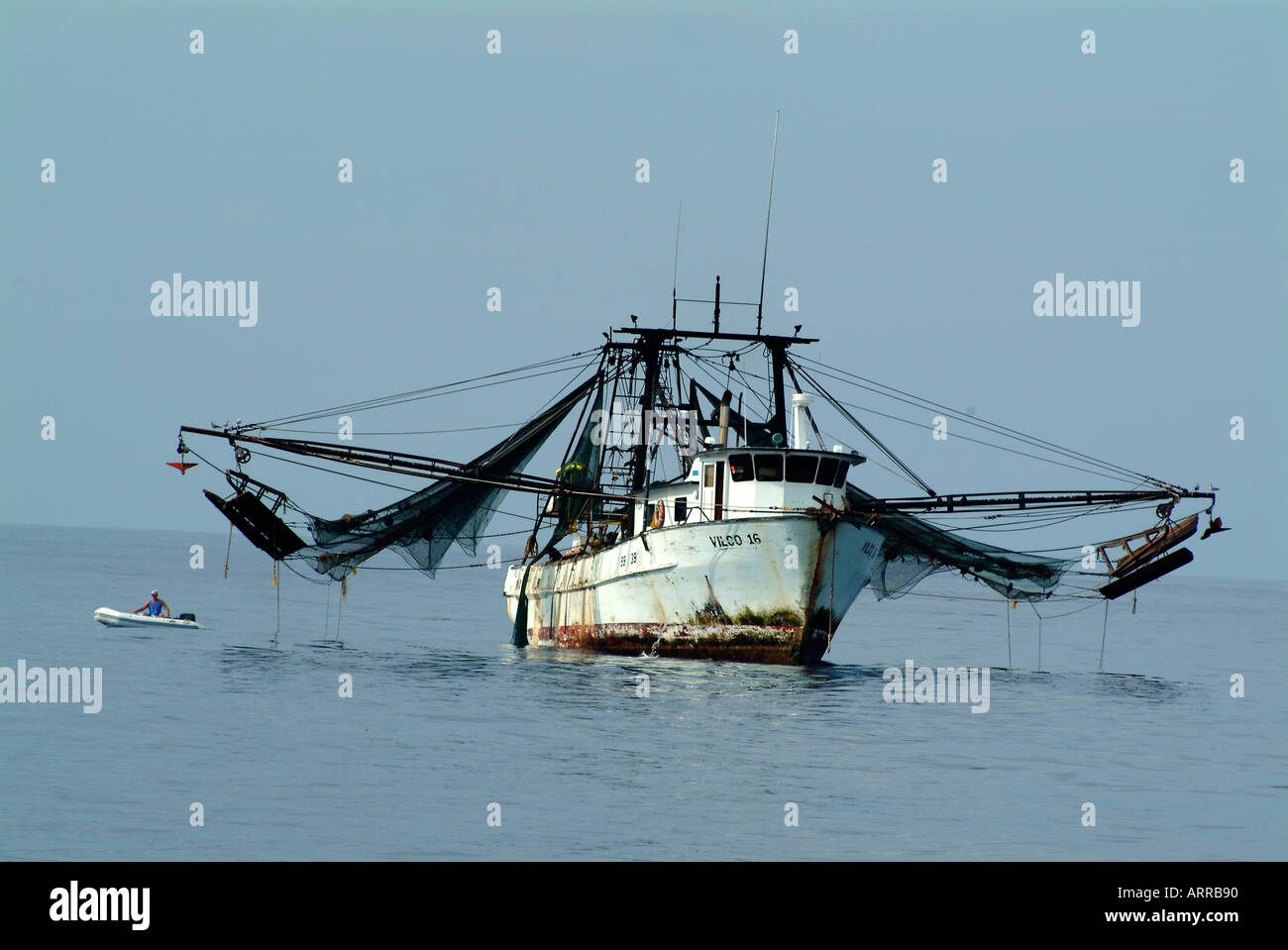 Gulf shrimp net hi-res stock photography and images - Alamy