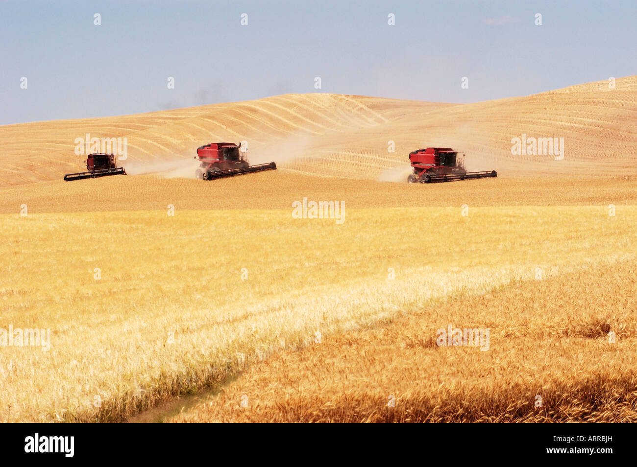 Major Crops Of Washington State
