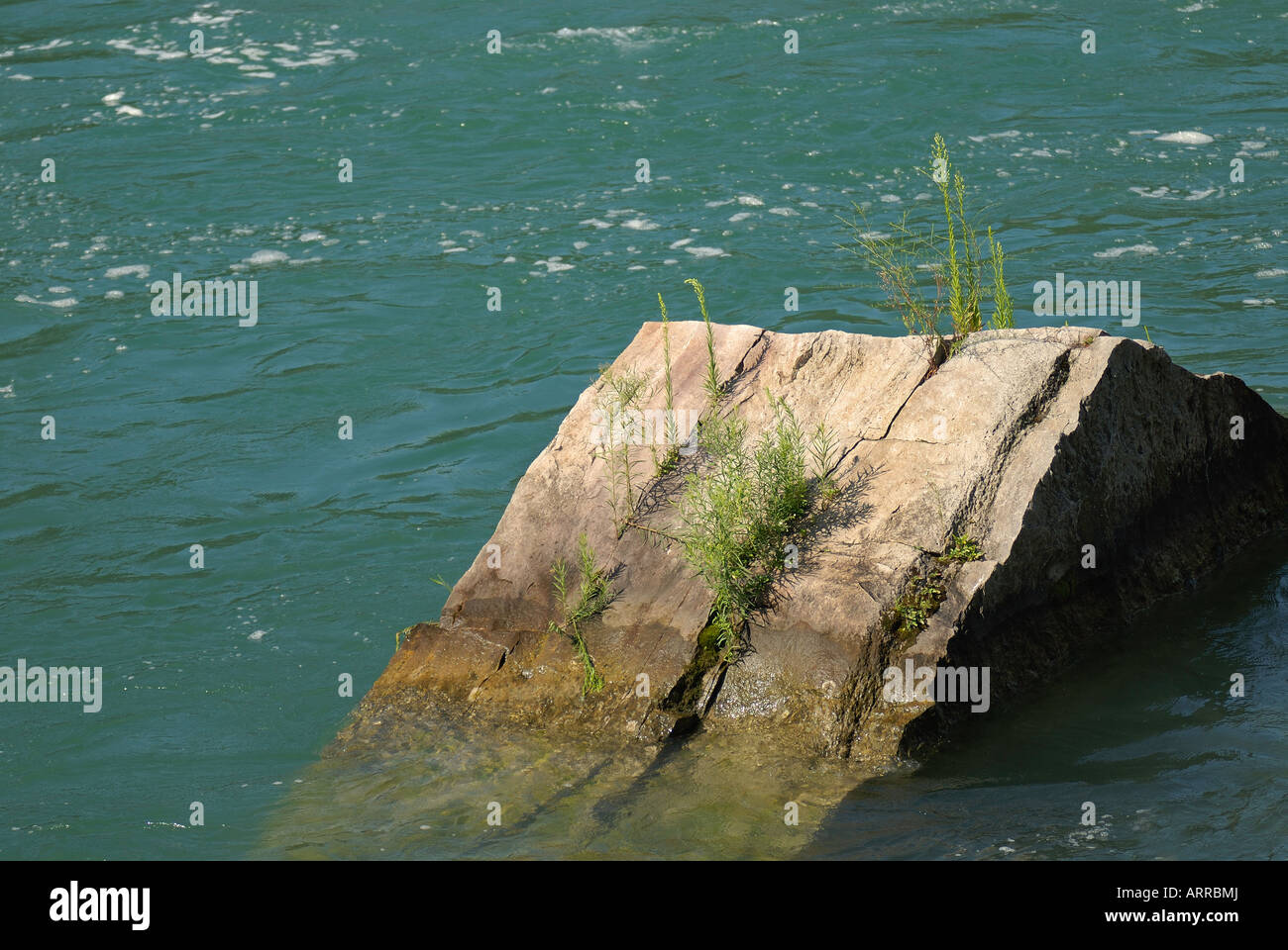 Single boulder in Niagra River Stock Photo - Alamy