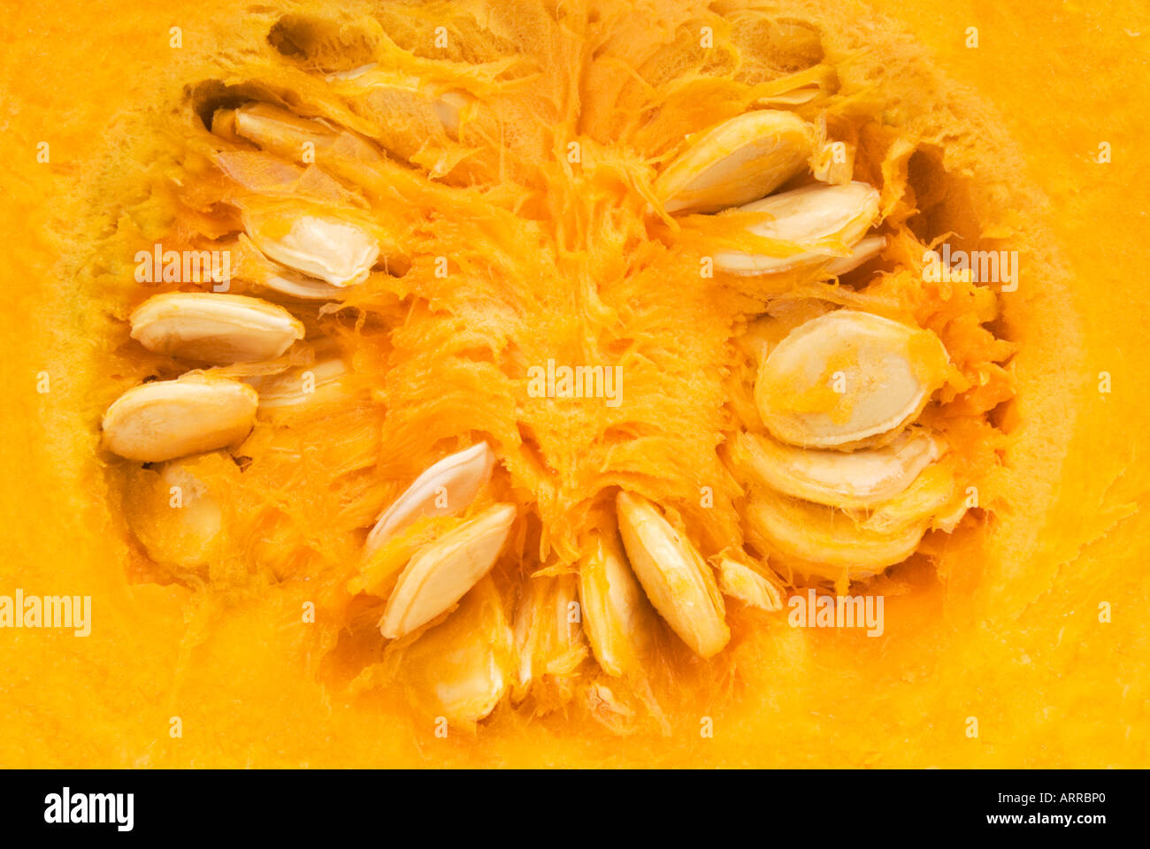 cut sliced seed Pumpkin Hokkaido Kürbis fresh orange Cucurbita squash ...