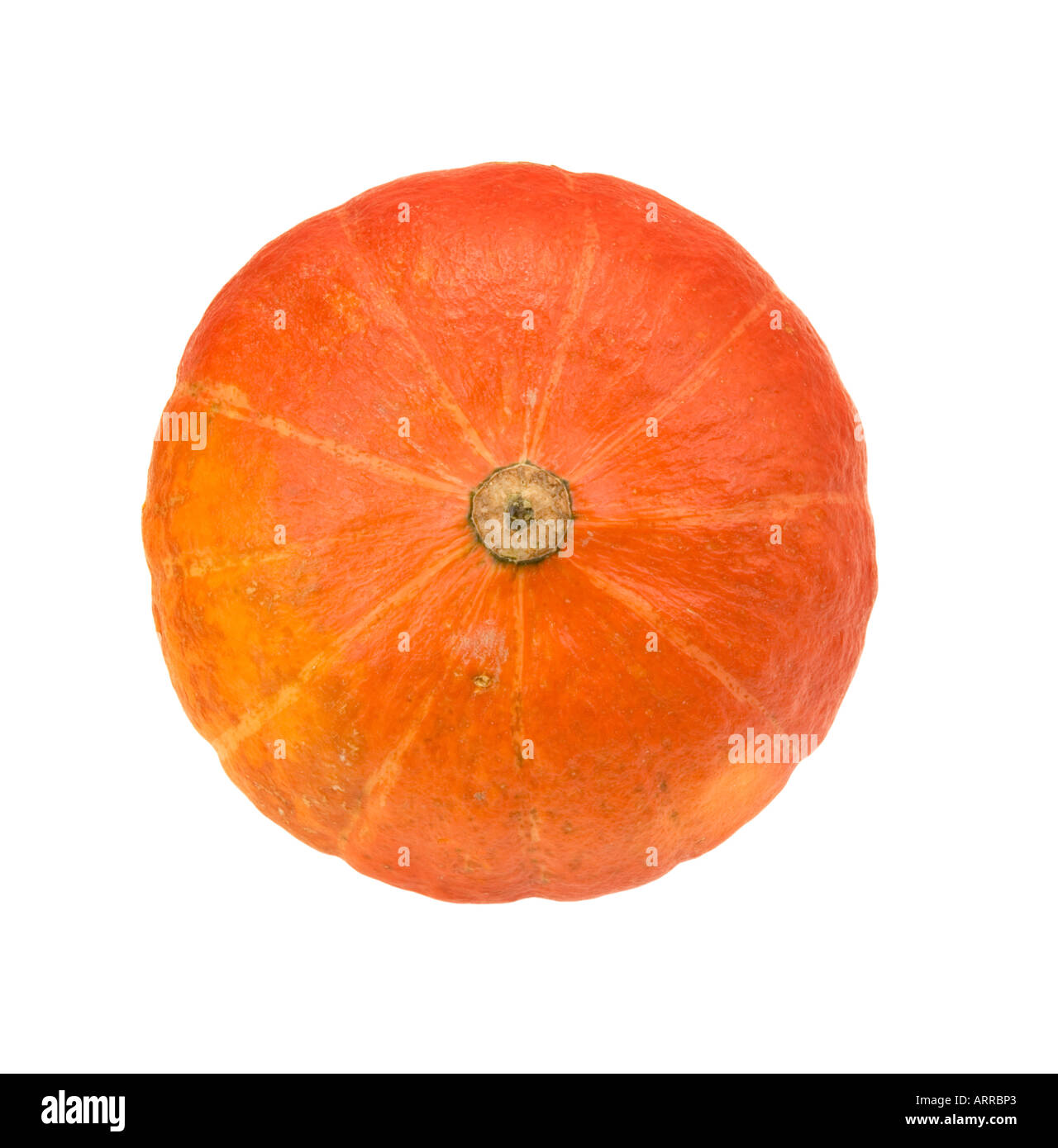 Red kuri pumpkin patch hi-res stock photography and images - Alamy