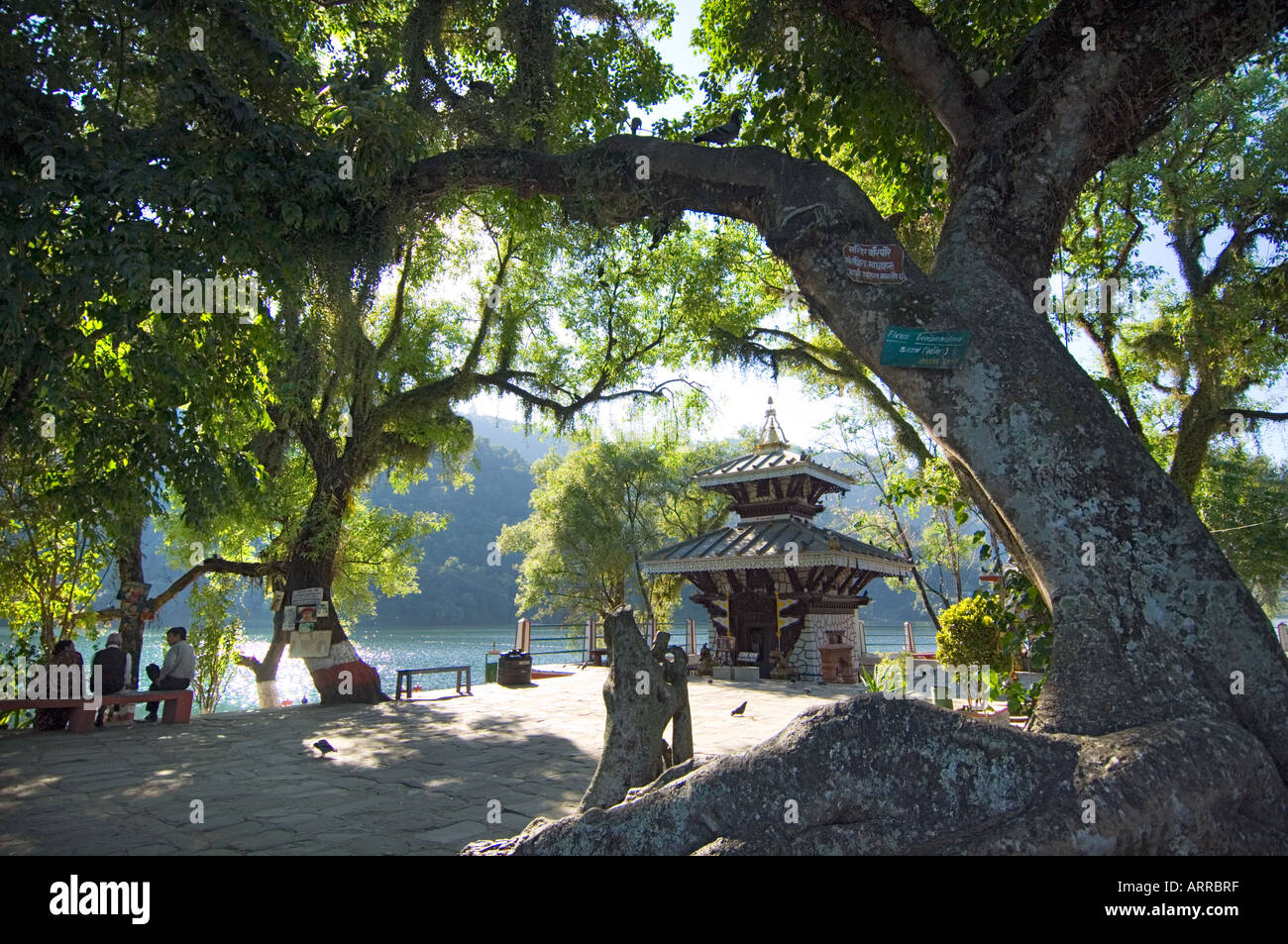 temple of Tal Barahi Island temple Barahi Mandir Phewa Tal Phewa Lake ...