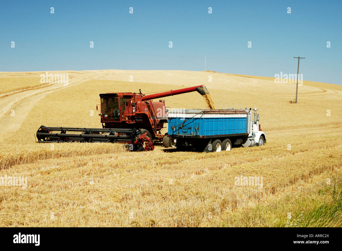 a combine harvesting the wheat crops in the rolling hills of the ...