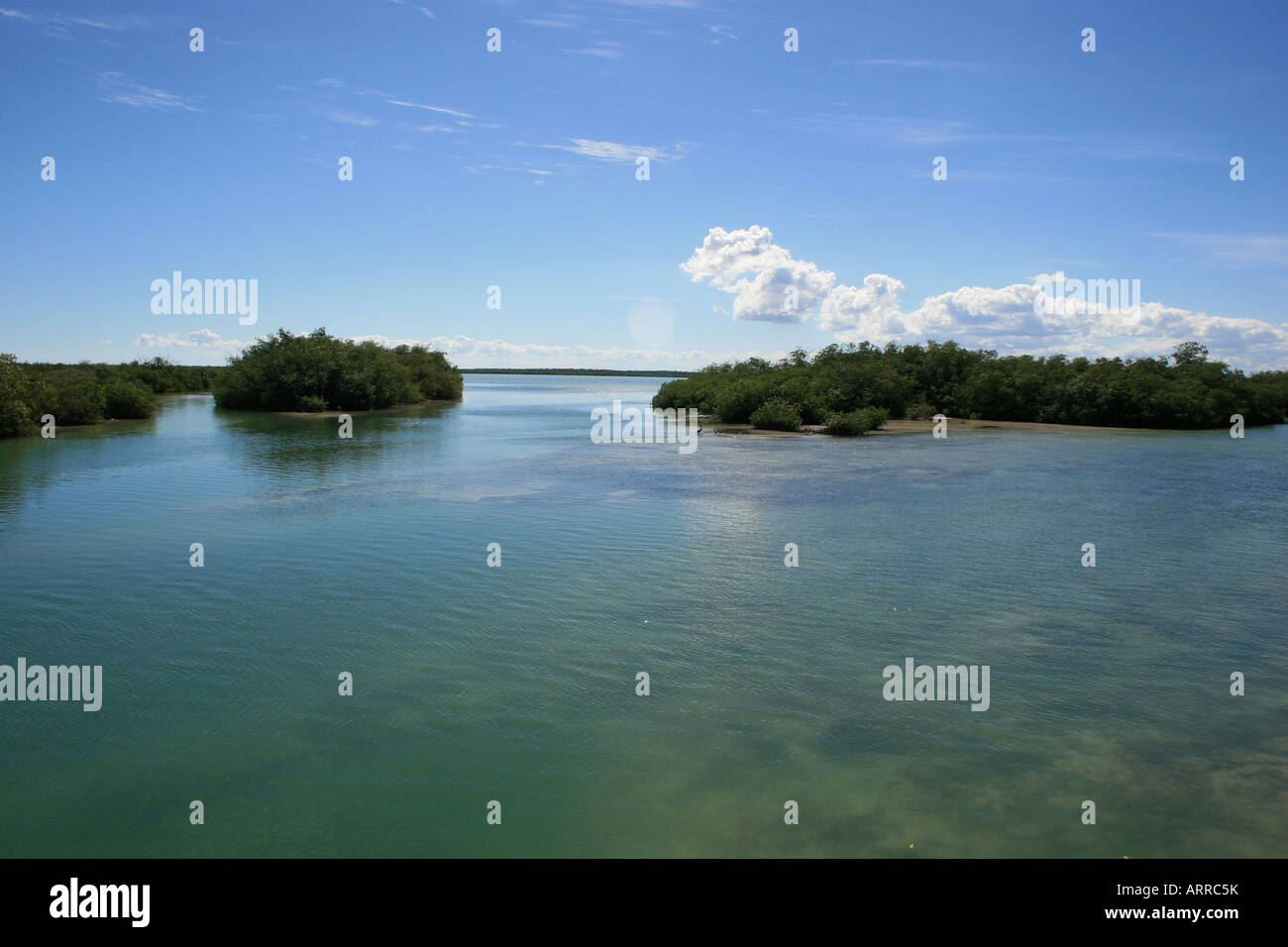 View of Nature reserve Stock Photo - Alamy