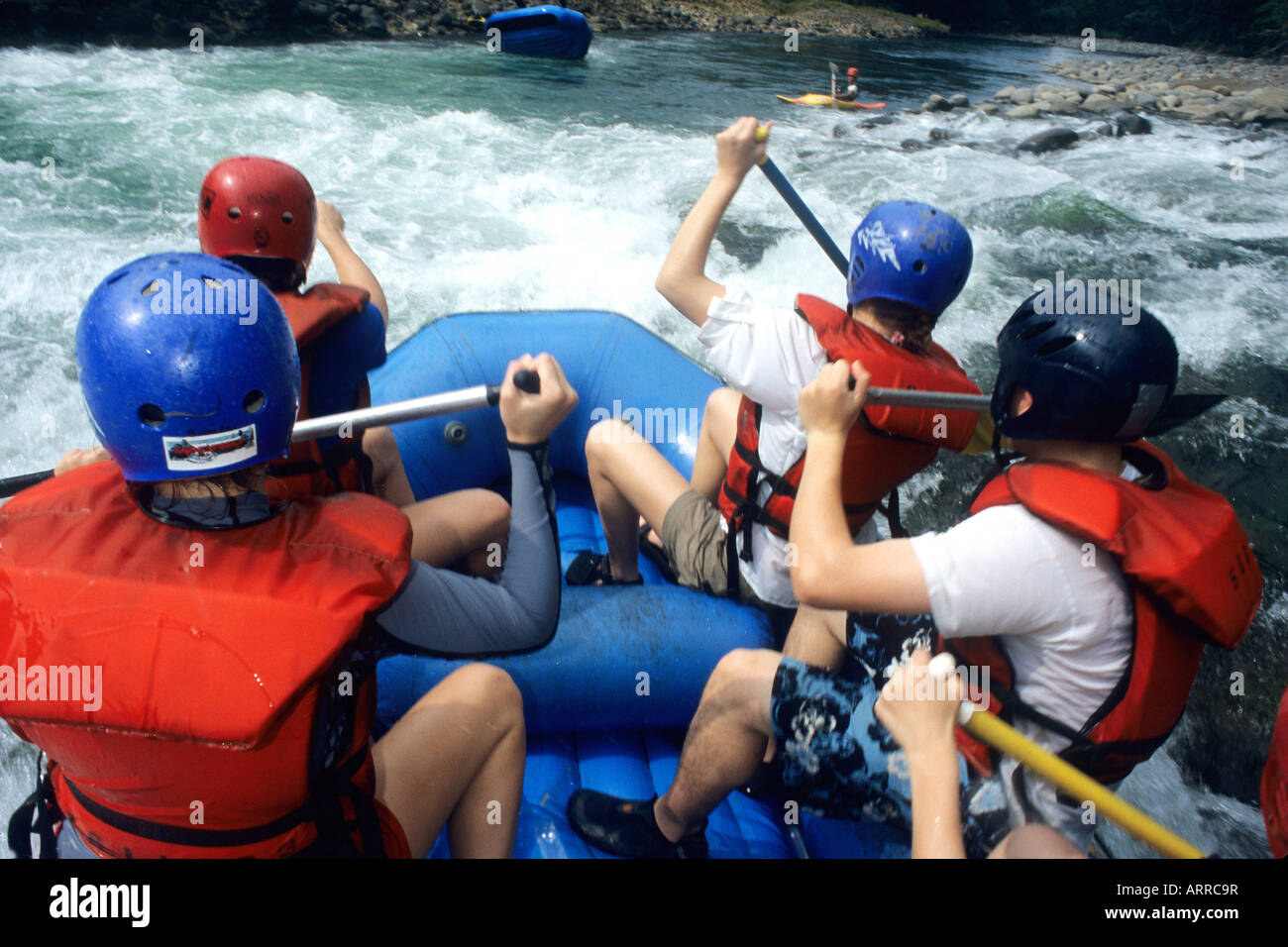 Teenagers rafting on Sarapiqui Whitewater river, Costa Rica Stock Photo ...