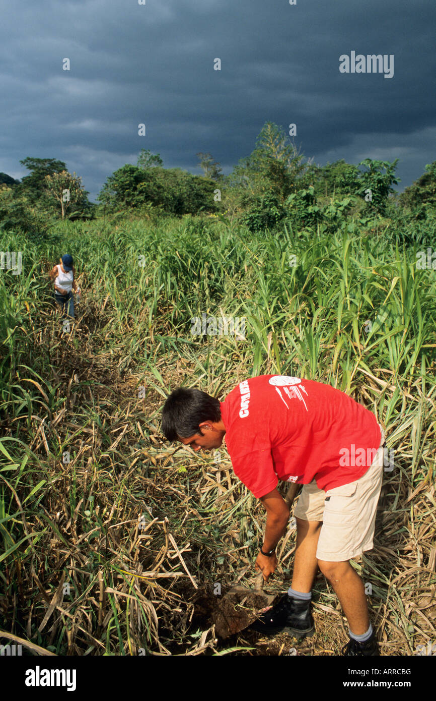 Costa Rican and US kids working on reforestation project, Costa Rica ...