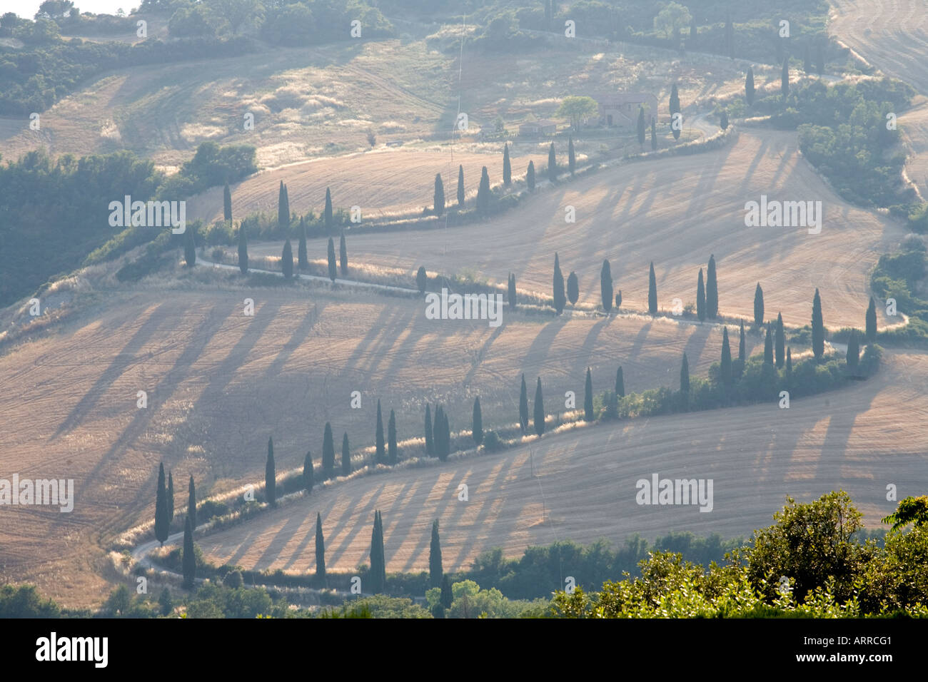 winding road Pienza with columnar Cypress trees Tuscany Italy Stock ...