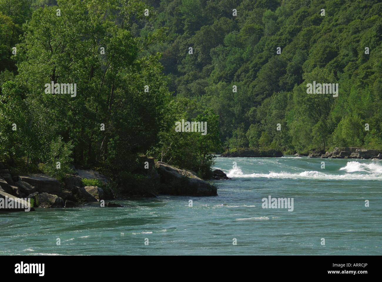 Niagra river gorge at Whirlpool Rapids Stock Photo - Alamy
