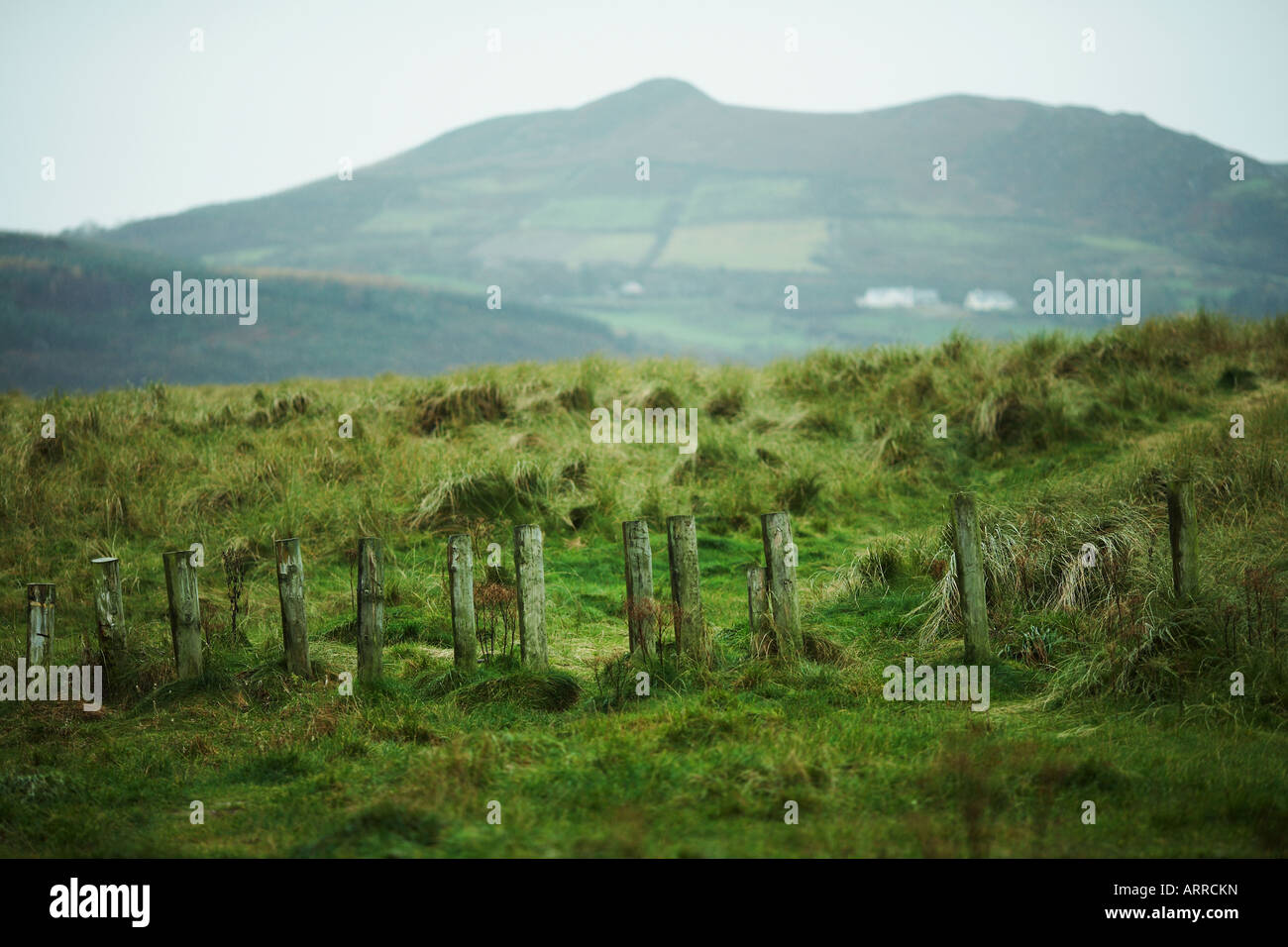 Inishtrahull island hi-res stock photography and images - Alamy