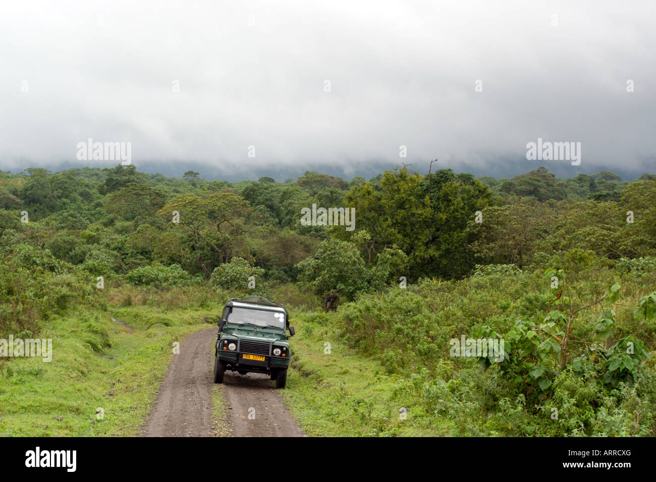 Safari on Slopes of Mount Meru Stock Photo - Alamy