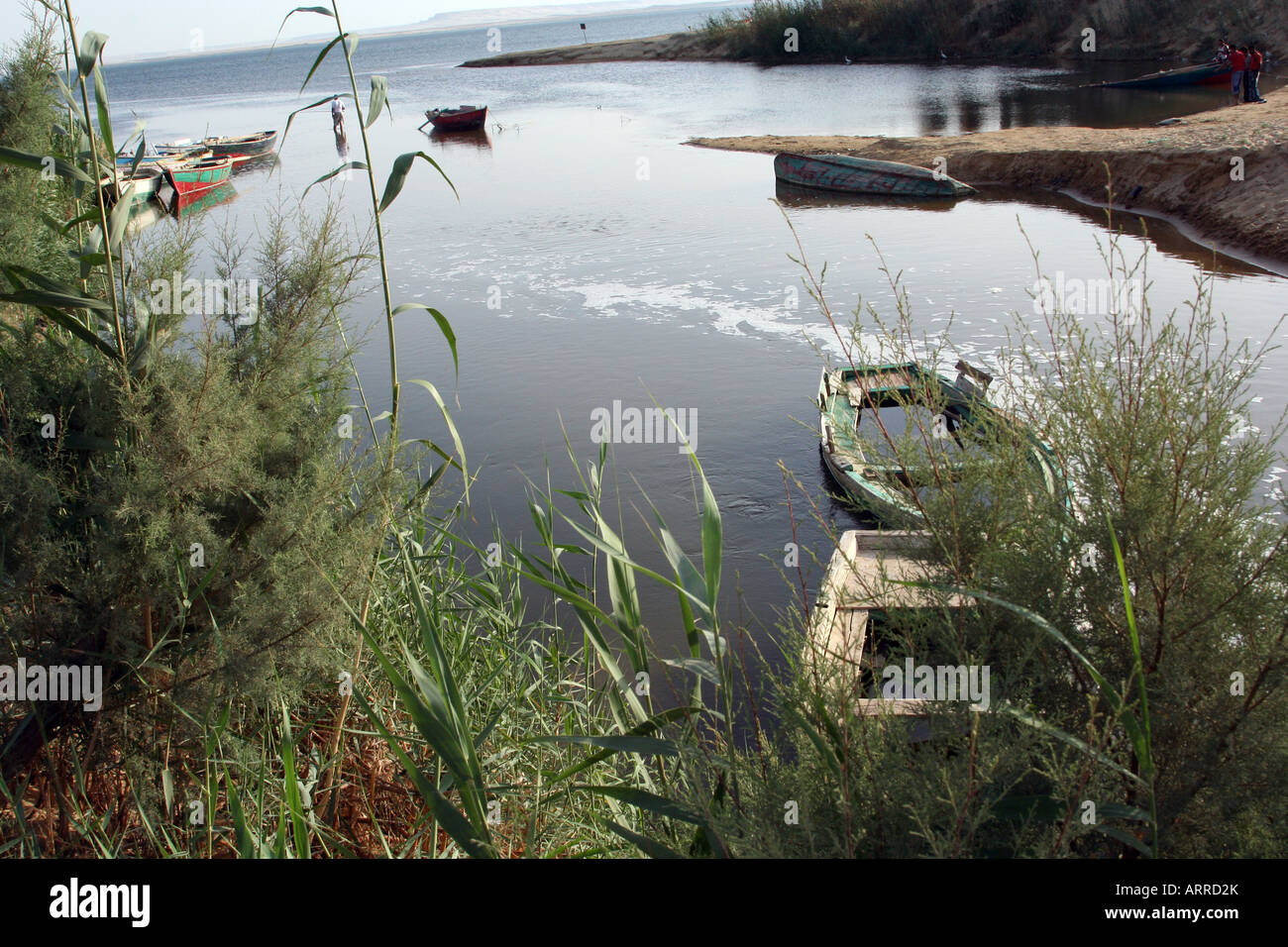 wadi Al-rayan Oasis in fayoum, Egypt Stock Photo - Alamy