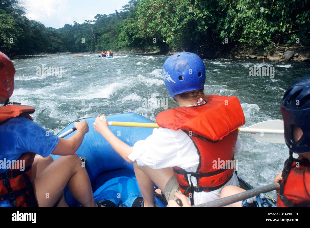 Tropical fish ocean raft hi-res stock photography and images - Alamy