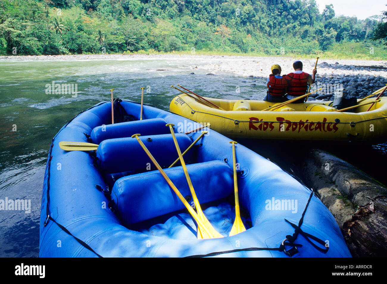 Rafters on the Rio Reventazón ( Parismina River ), Costa Rica Stock ...