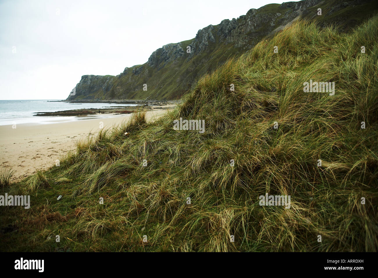 Beach Grassy Field with Distant Cliffs Inishowen Peninsula, County ...