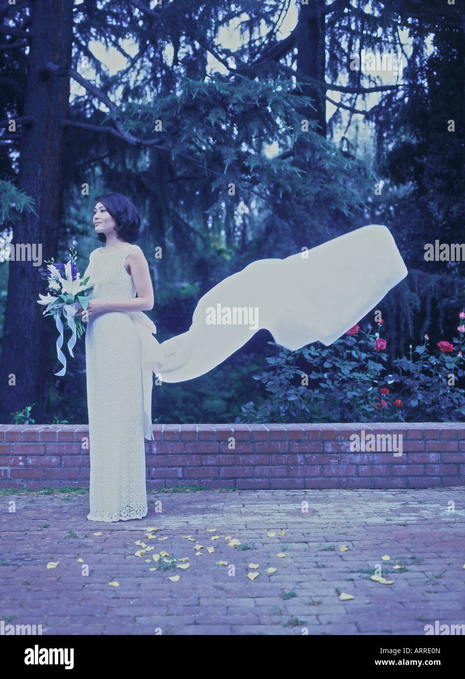 Bride of wind hi-res stock photography and images - Alamy