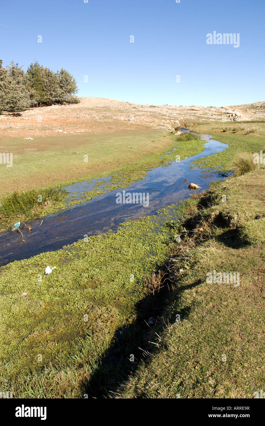 Mid atlas hi-res stock photography and images - Alamy